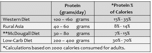 Protein-Intake-Table